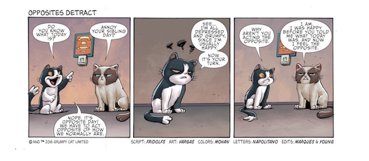 Grumpy Cat Comic Strips Dynamite